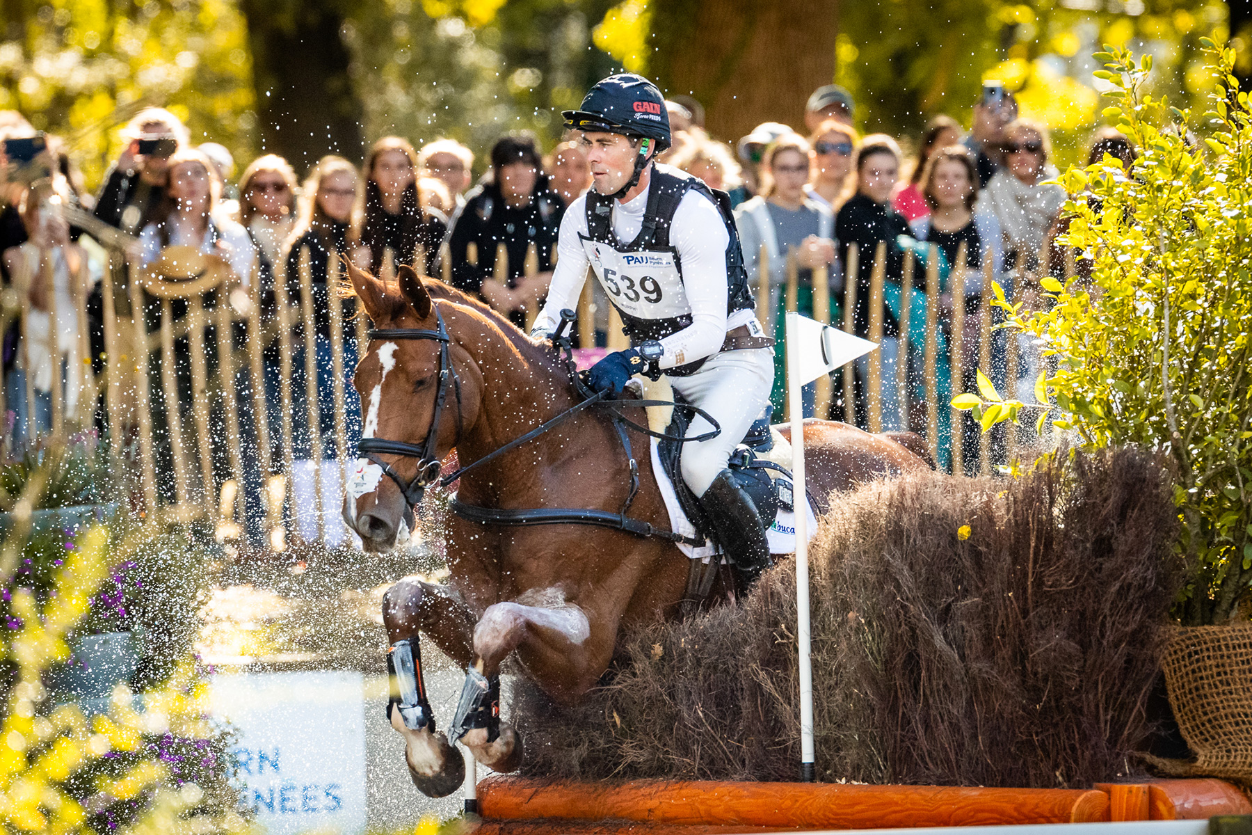 Live web TV - Les 5 Etoiles de Pau Officiel, 24-27 octobre 2024
